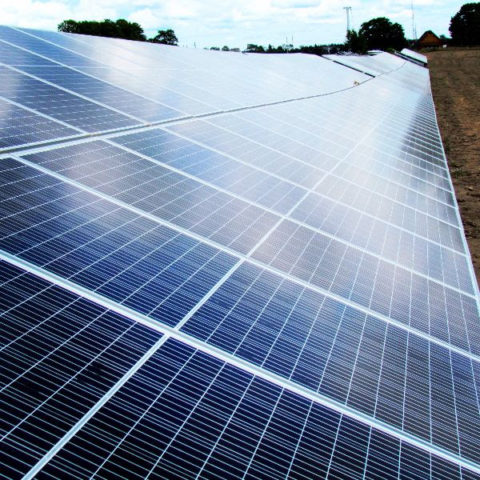 Meet Harvest Solar, the Providing Sponsor for 2019 Harvest at the Commons