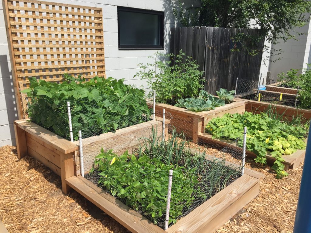 Building the Local Food Economy for All