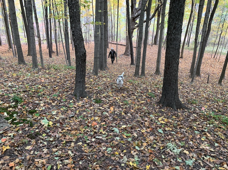 Hispanic Heritage Month Musings - Groundwork Center