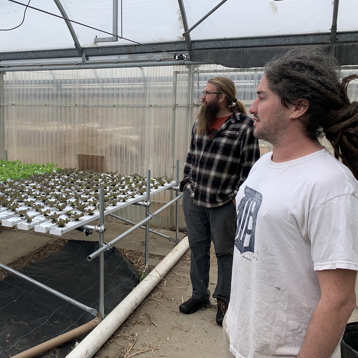 OKEMOS’S BLUE MITTEN FARMS JUMPS INTO CAPITAL REGION’S FARM TO SCHOOL ...