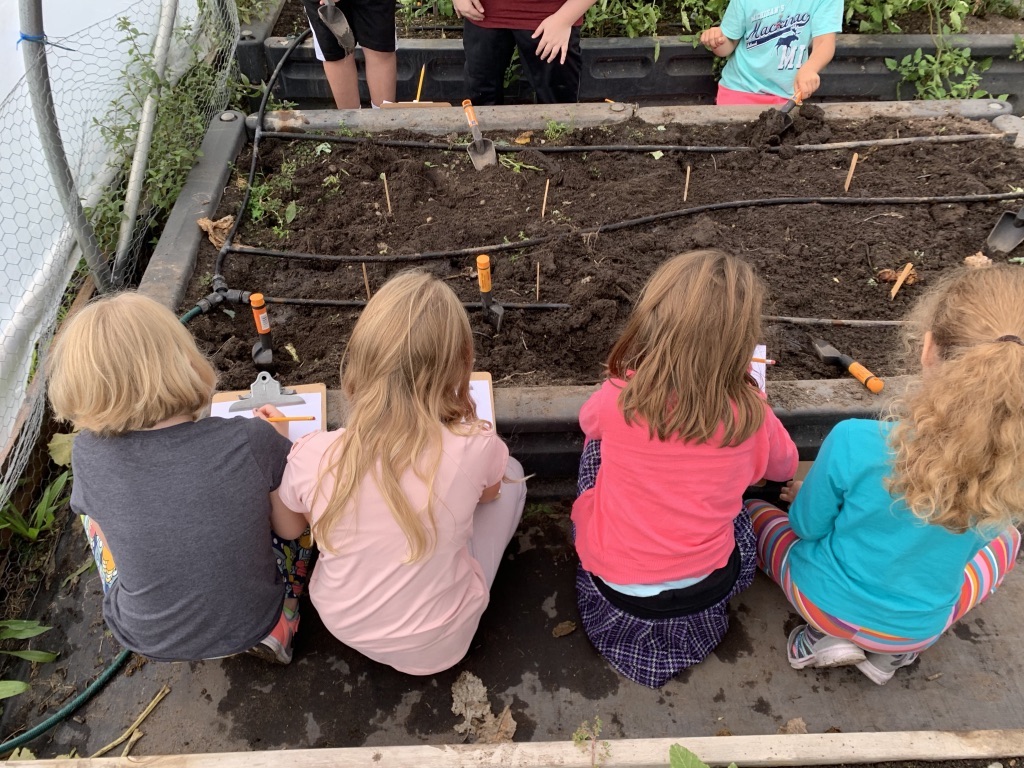 Greenhouse, Garden, Classroom, Cafeteria ... FoodCorps Folk Are Busy - Groundwork Center