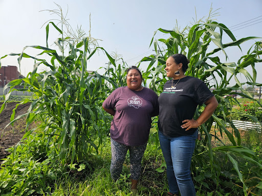 Postcards From Our Detroit Urban Farm Tour - Groundwork Center