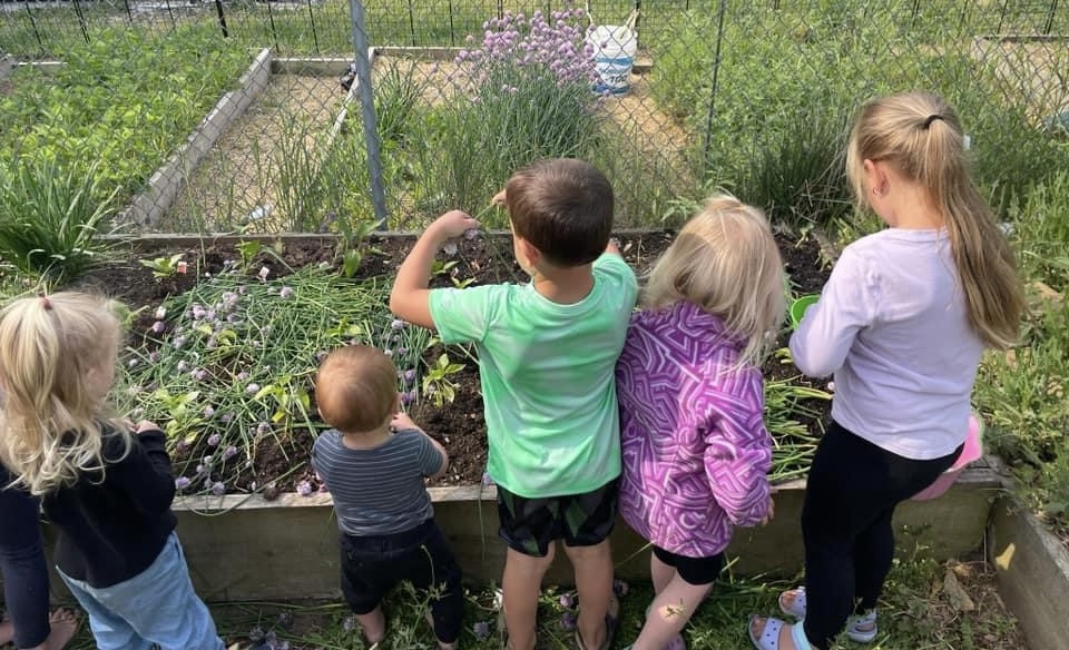 Expanding 10 Cents a Meal's Reach to Child Care Providers - Groundwork ...