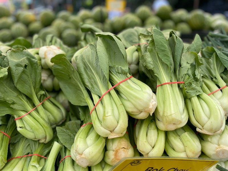 Pilot program: 5 schools in Char-Em get funds for staff focused on ...